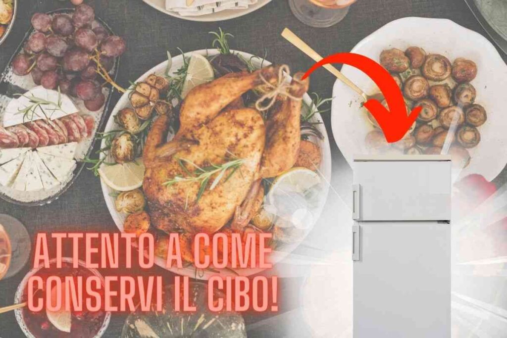Errori da non commettere quando si conservano cibi cotti: molti ...